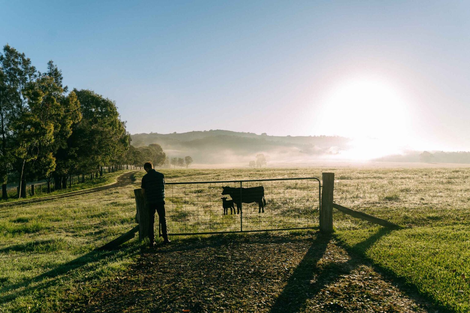Agricultural Succession Planning Australia: Guide for Family Farms